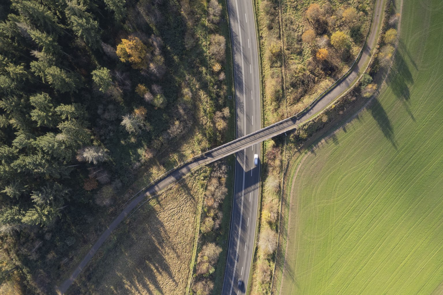 Projekte - infrateam